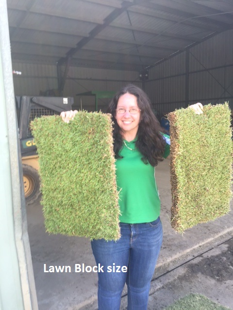 Lawn Block piece – Lawn Block Turf Drive Thru